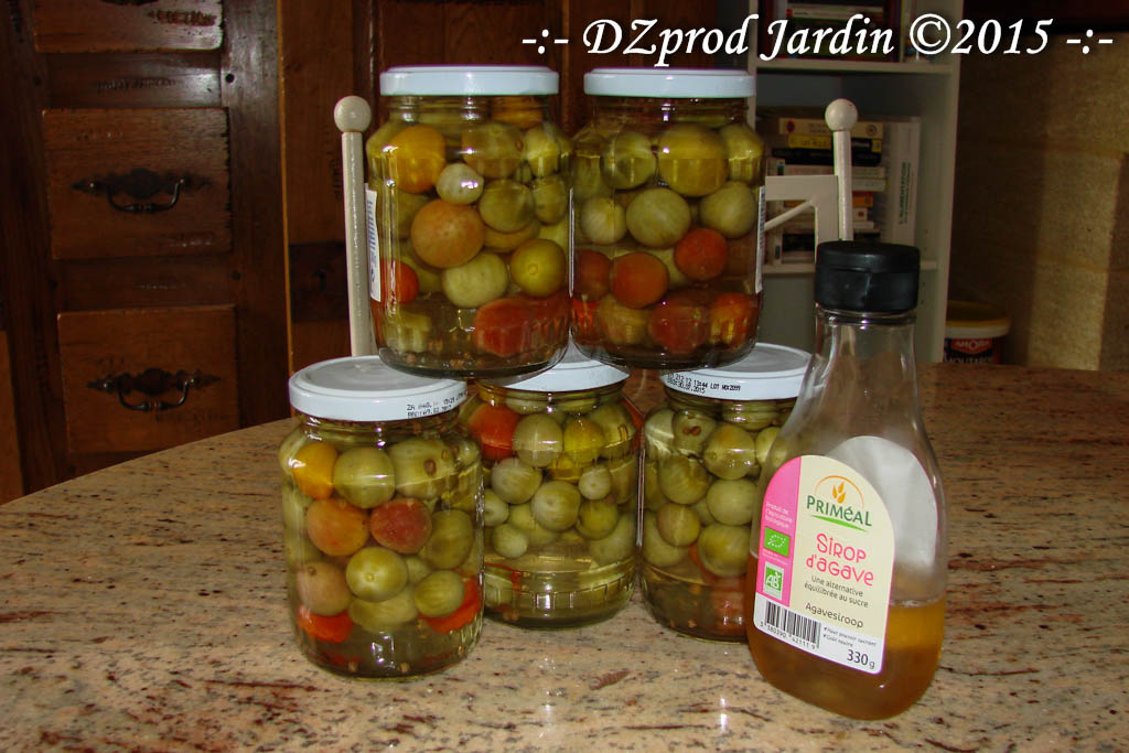 Essai de tomate cerise verte en pickles de septembre. - Les jardins de ...