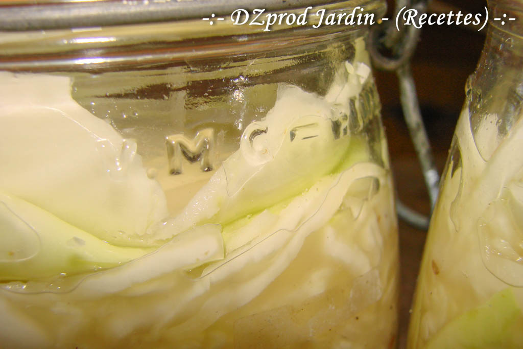 Choucroute - Chou blanc fermenté & astuce pour la fermentation - Les ...