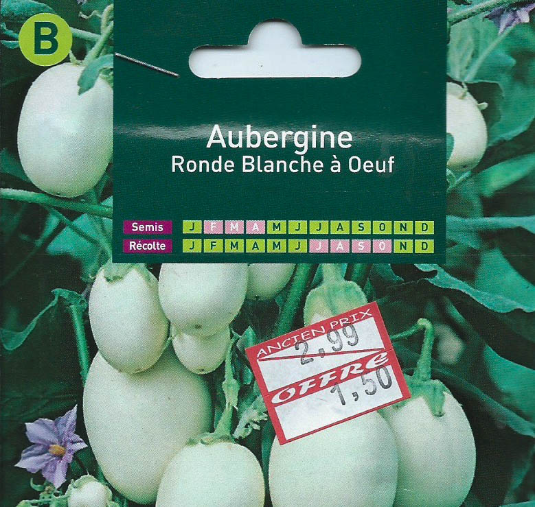Aubergine Ronde Blanche à œuf - Les jardins de DZprod