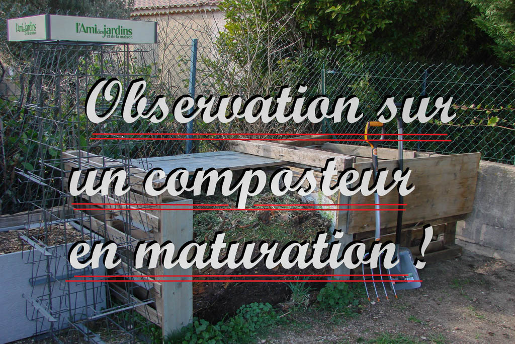 Observation d'un compost en maturation - Les jardins de DZprod